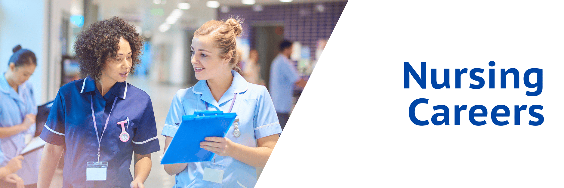 Nursing & Allied Health